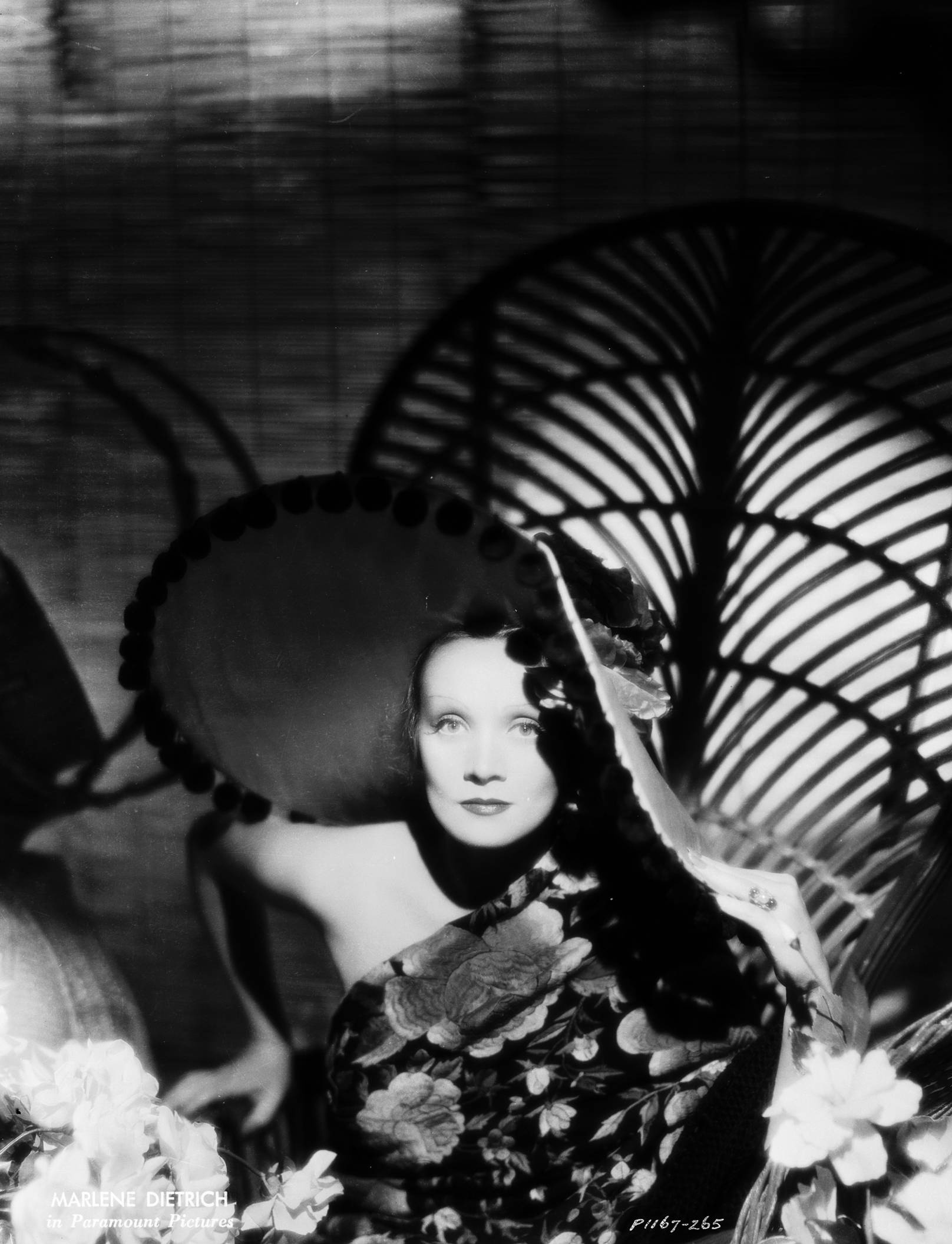 Marlene Dietrich Nrfpt